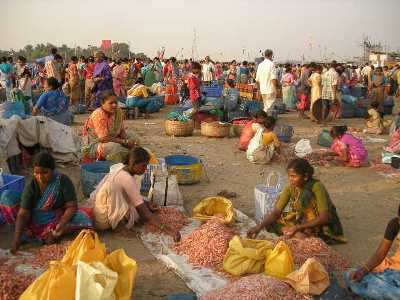 Revolving Fund | Parivartan